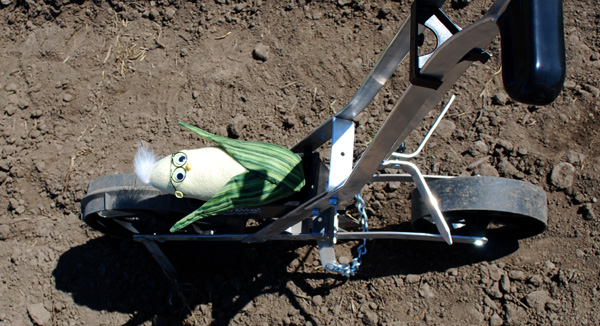 frank-hopper – Biofortified