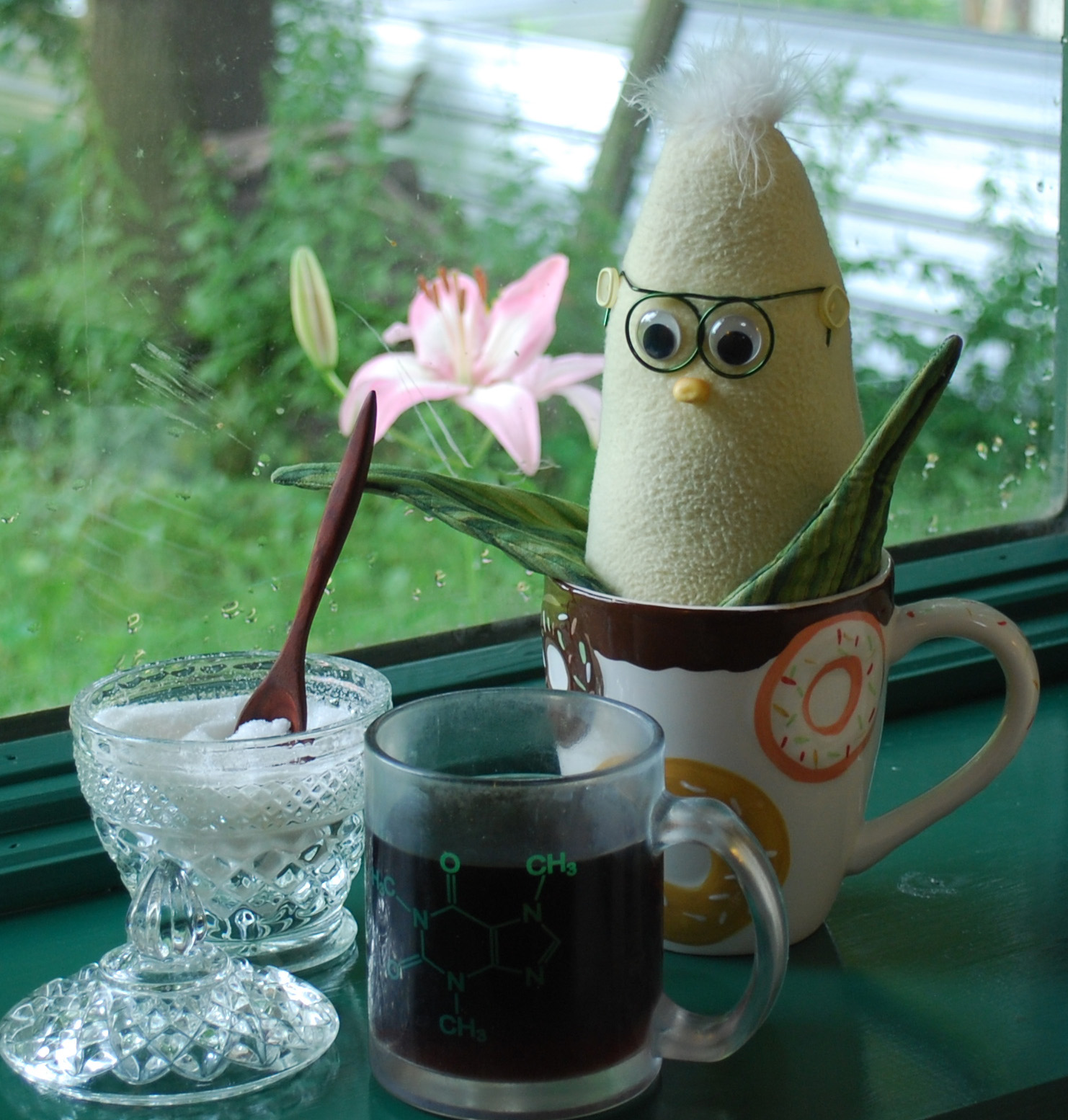 GMO coffee – Biofortified