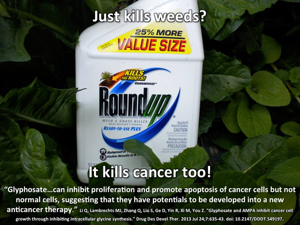 Is glyphosate toxic to humans? – Biofortified