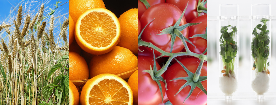 AgBioPix – Biofortified