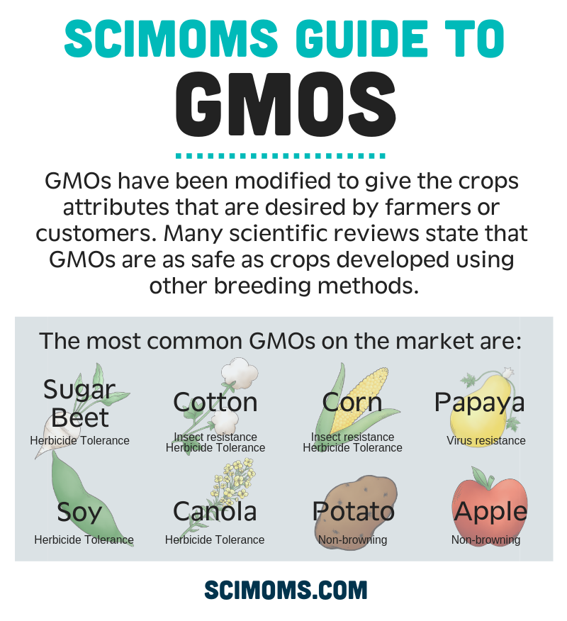 Scimoms Common Gmos Biofortified